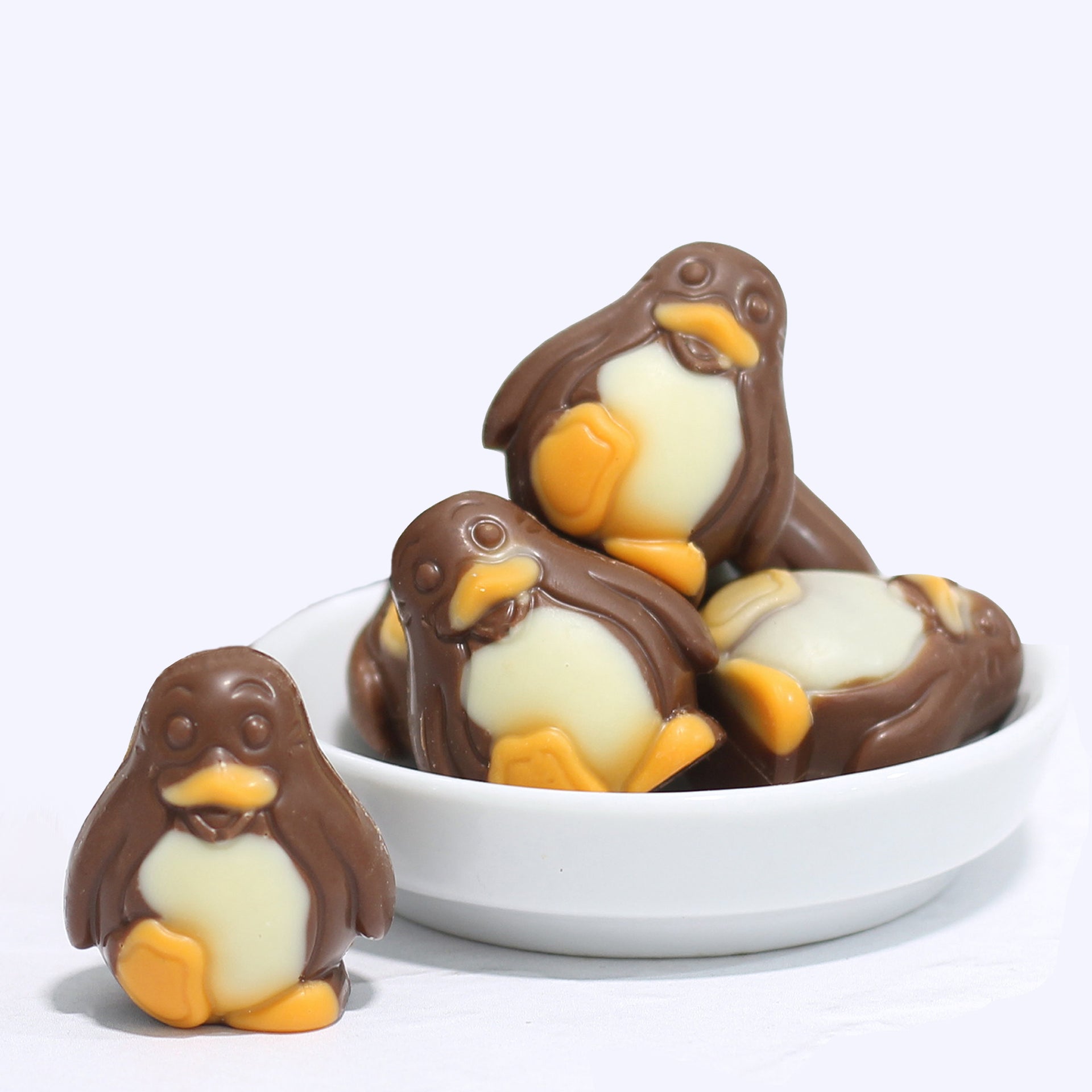 Praline Chocolate Penguins | Christmas Gift Box – Friars