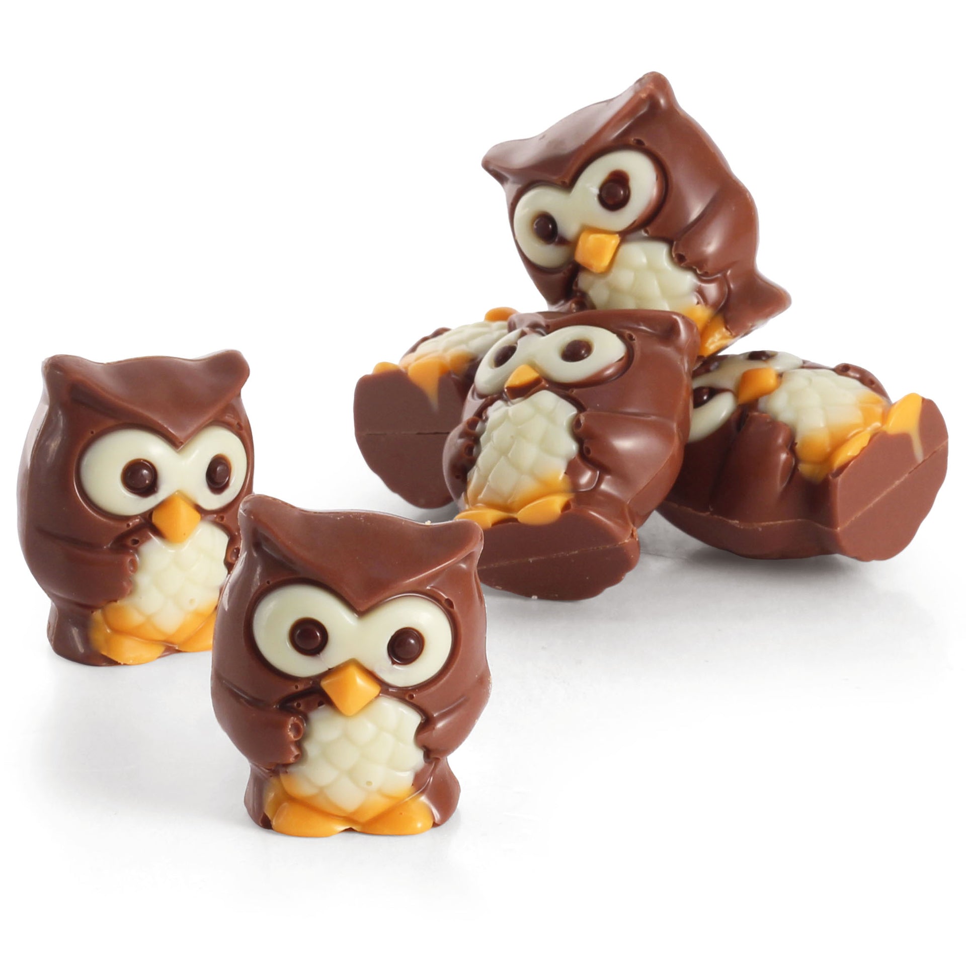 Praline Chocolate Owls | Halloween Chocolate – Friars